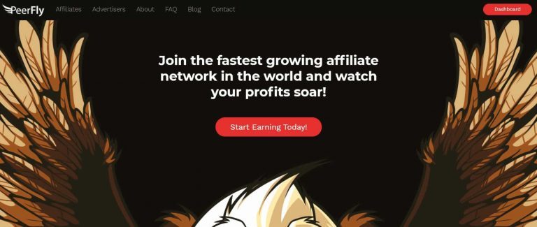 20 Websites Where You Can Earn $100 Daily