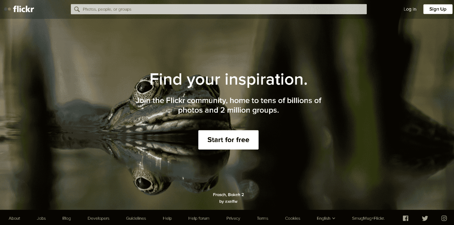 17 Best Free Image Hosting Sites (2025) - Moneymint