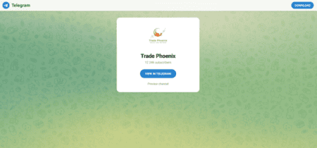 23 Best Telegram Channels for Stock Market to Follow