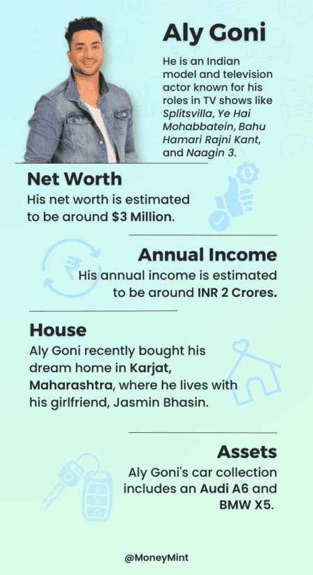 Aly Goni Net Worth