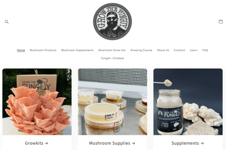 Grow the Funguy by Adam and Raeesa: Aiming for Rs 3 Crore Revenue in ...