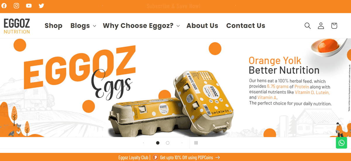 How 3 Friends Built Branded Eggs and Sells 4 Lakh Eggs Per Day
