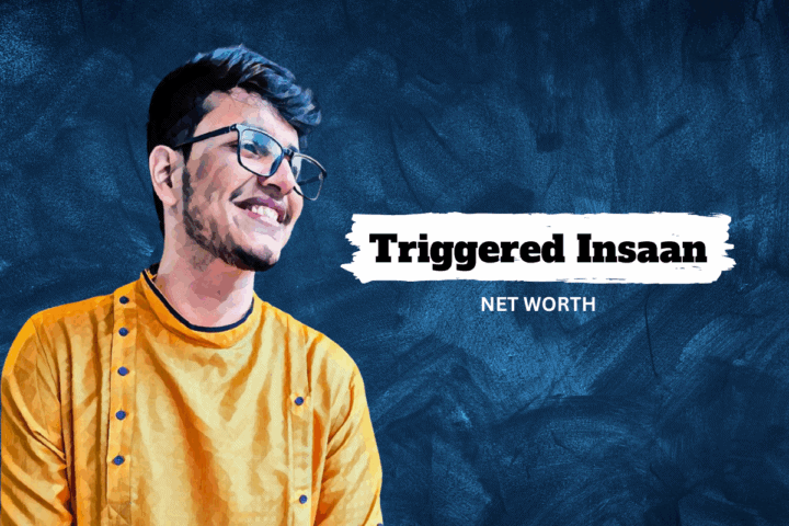 Triggered Insaan's Net Worth